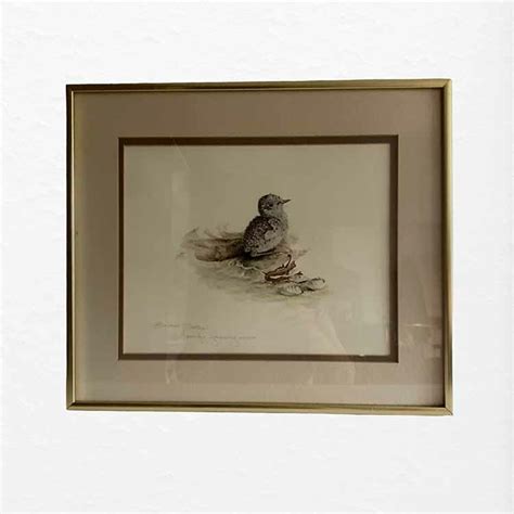 Vintage Merrilyn Jaquiery Banded Dotteral Limited Edition Print