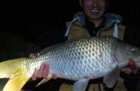 釣魚高手教你夏季雨天垂釣技巧，掌握好就會有不少的漁獲！ 每日頭條