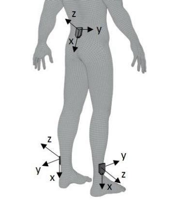 IMU Placements On The Different Body Locations And Relative Axis Download Scientific Diagram