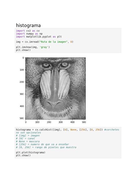 Histograma En Python Pdf Psicofísica Tecnicas Artisticas