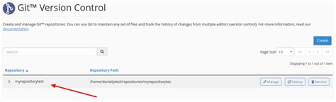 Git Version Control With Cpanel Beginners Guide
