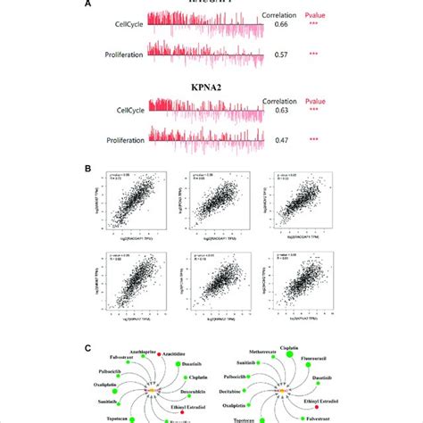 Biological Functions Of Prognosis Related Genes A The Biological