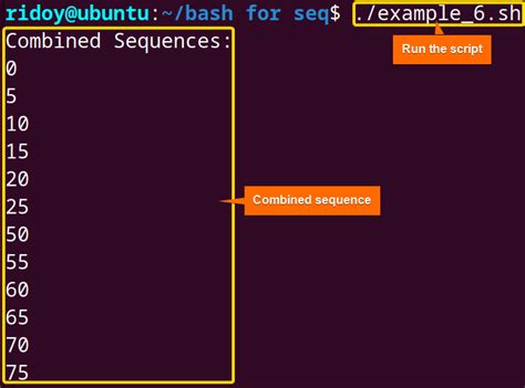 How To Use Bash “for” Loop With “seq” Command 10 Examples Linuxsimply