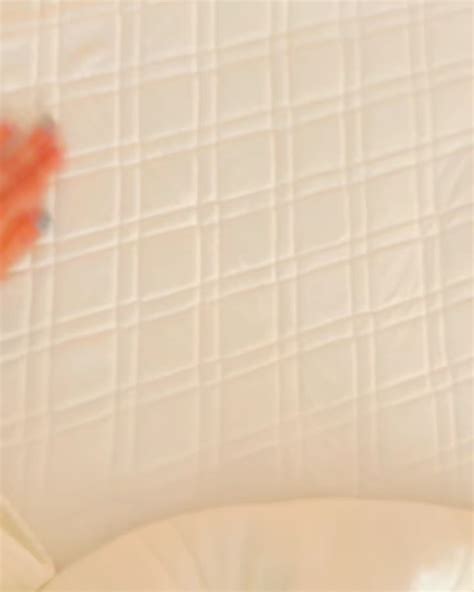 코루비 집꾸미기 홈인테리어 🫶 회전책장 2차 잠시후11시 Open 💛 착한목수에서 직접 처음부터 끝까지 모든 과정을 직접 관리하는 100국내제조 회전