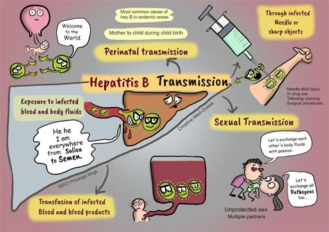 Hepatitis B Transmission And Clinical Presentation Creative Med Doses