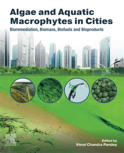 Algae And Aquatic Macrophytes In Cities Bioremediation Biomass Biofuels And Bioproducts