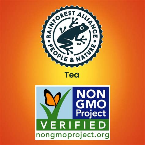 Tejava Peach Black Iced Tea 24 Pack 12oz Glass Philippines Ubuy