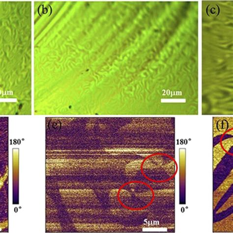 The Observed Topological Vortex Domain Structure In Optical Microscope Download Scientific