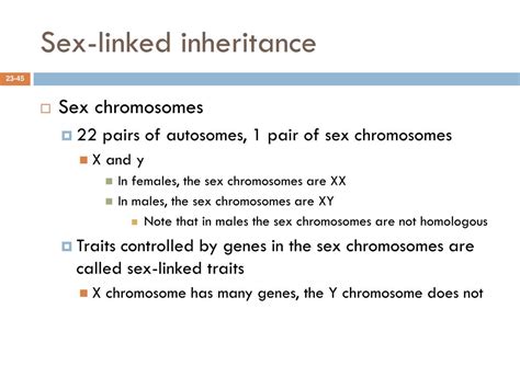 Ppt Patterns Of Inheritance Powerpoint Presentation Free Download