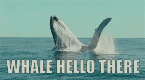 Hello There S