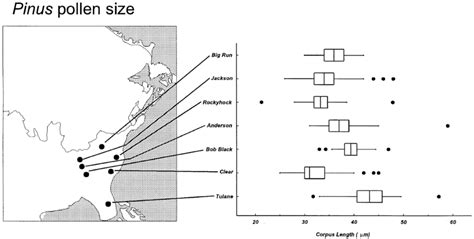 Box Plots Showing Size Distributions Of Pinus Subgenus Pinus Pollen Download Scientific Diagram