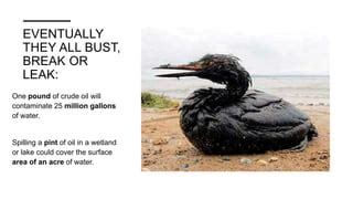 Oppose The Pipeline PPT