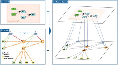 Reaction Pathway Diagram Untpikapps A Possible Reaction Pathway Of