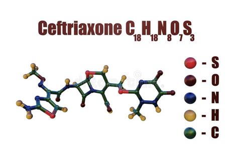Antibiotic Ceftriaxone Stock Illustrations 22 Antibiotic Ceftriaxone Stock Illustrations