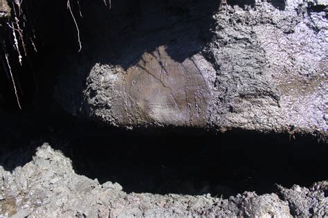 Metagenomic Insights Into Microbial Community Structure And Metabolism In Alpine Permafrost On