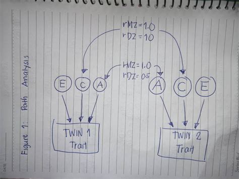 Solved The Correlation Between Identical Twins For Self Reported