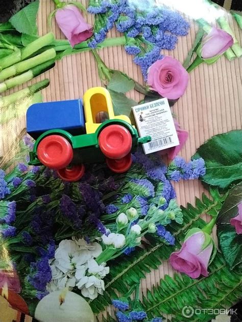 Отзыв о Пластмассовые игрушки Wader Компактная игрушка из качественного пластика