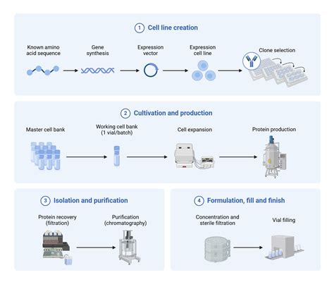 Scaling Up Production Of Monoclonal Antibodies Biorender Science