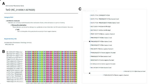 Phylogeny And Multiple Sequence Alignment Of The Gene Tetd Within The Download Scientific