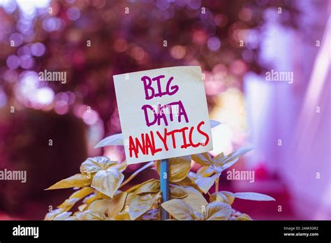 Handwriting Text Writing Big Data Analytics Conceptual Photo The Process Of Examining Large And