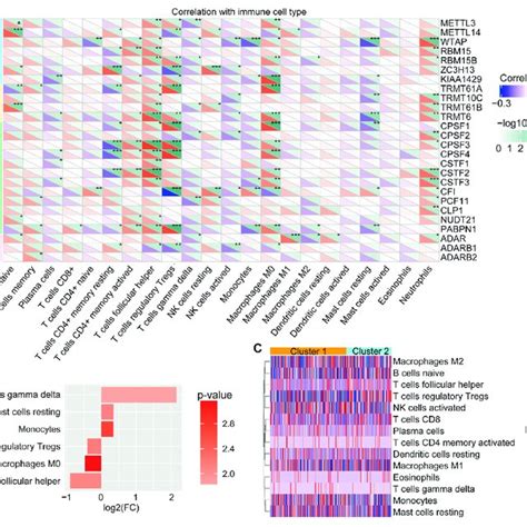 Rna Methylation Modification Pattern And Related Biological Pathways Download Scientific