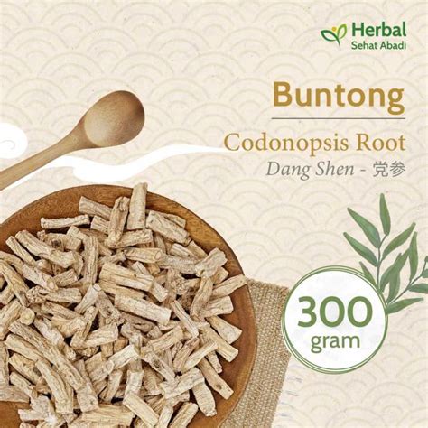 Tong Sem 300 Gram Dang Shen 党参 Tong Sim Codonopsis Root Lazada Indonesia
