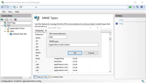 Configure Iis To Allow Downloads For File Types A Windows System Admins Blog