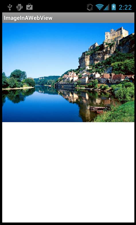 Java Viewport Fit Screen Width And Big Images Stack Overflow