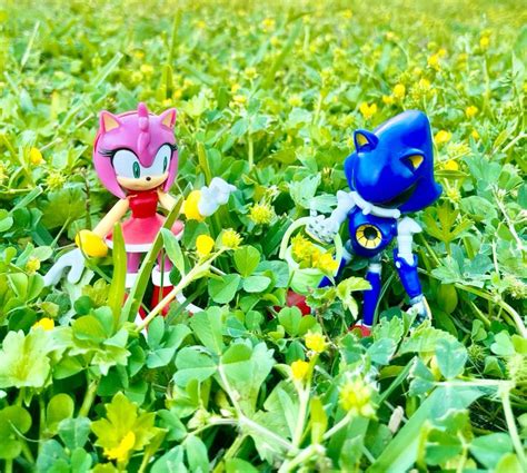 ⛓️「megamanーjuno」⛓️ On Instagram Metal Sonic And Amy Picking Flowers