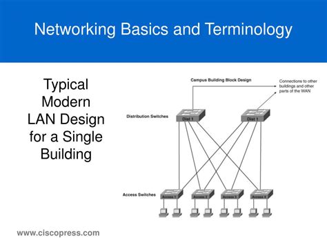 Ppt Networking Basics Ccna 1 Chapter 2 Powerpoint Presentation Free