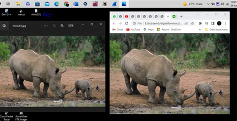 Picoctf Permissions Writeup Picoctf 2023 General Skills By Rabbiyatabassum Medium