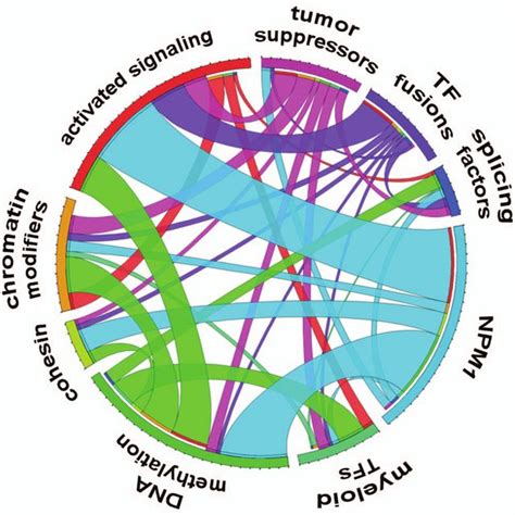 Recurring Mutations In De Novo Acute Myeloid Leukemia Aml Circos