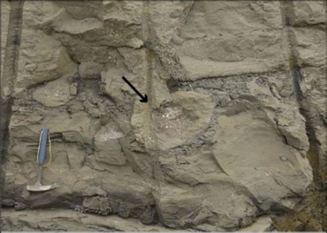 Fine Tuff To Medium Lapilli Tuff With Block Sag Arrow At Cerro Download Scientific Diagram