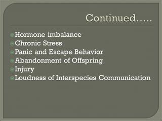 Noise Pollution 1 Pdf