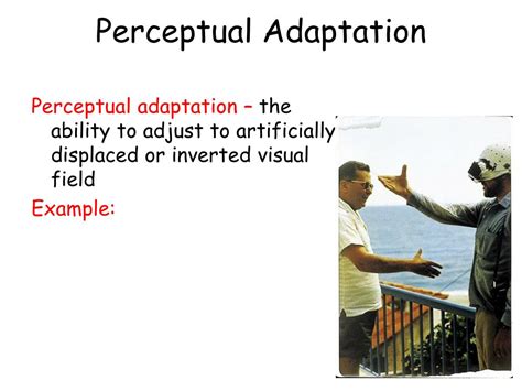 Perceptual Adaptation