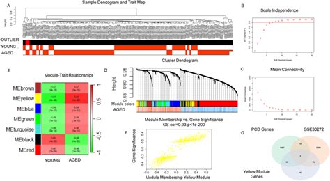 The Gene Coexpression Networks Associated With Aging Through The Wgcna Download Scientific