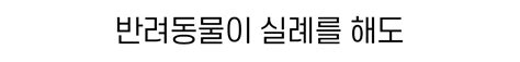 시리어스펫 슬개골 따땃망토 주식회사 파이헬스케어