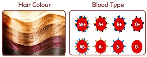 Difference Between Acquired And Inherited Traits Tpoint Tech