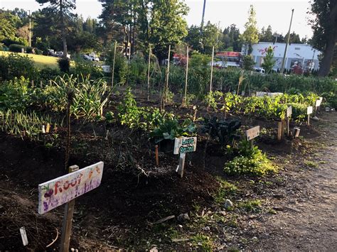 About The Garden — Riley Park Community Garden