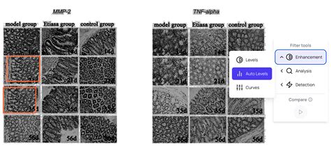 Image Duplication Detection Reviewerzero Ai