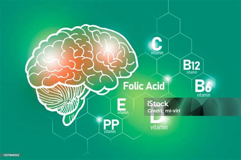 비타민 C 비타민 B 엽산 비타민 Pp를 포함한 뇌 건강을 위한 필수 영양소 파킨슨병에 대한 스톡 벡터 아트 및 기타 이미지 파킨슨병 Mental Wellbeing
