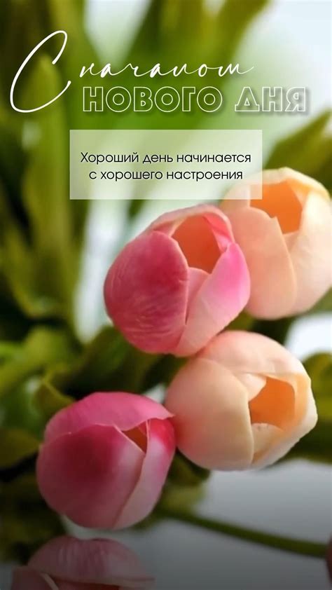 Pin On 🎂 день рождения