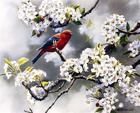 Susan Bourdet живопись Обсуждение на Liveinternet Российский