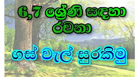 6 7 ශ්‍රේණි සඳහා රචනා ගස් වැල් සුරකිමු Youtube
