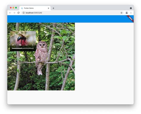 Web Stack Rendering Item Order Incorrect Regression Between And