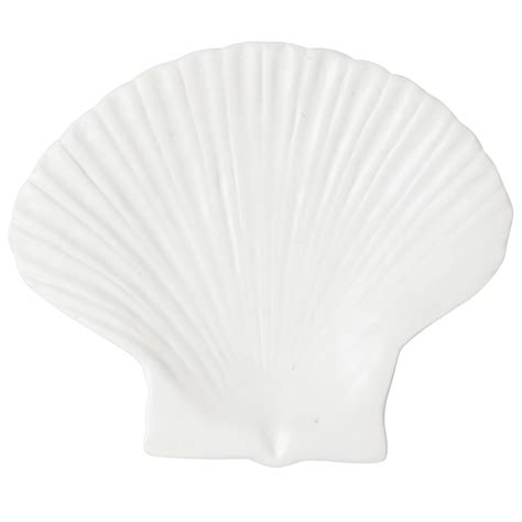 바이온 쉘 접시 Large 위시버킷