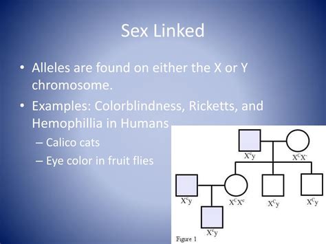PPT Understanding Complex Inheritance Patterns PowerPoint Presentation ID 3170808