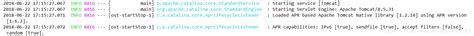 springboot2 0启动日志中出现the apr based apache tomcat native library which