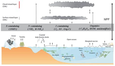 Acp Collective Geographical Ecoregions And Precursor Sources Driving