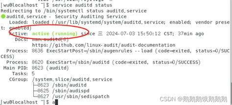 网络安全等级保护测评 安全计算环境 linux 下篇 rsyslog和auditd csdn博客